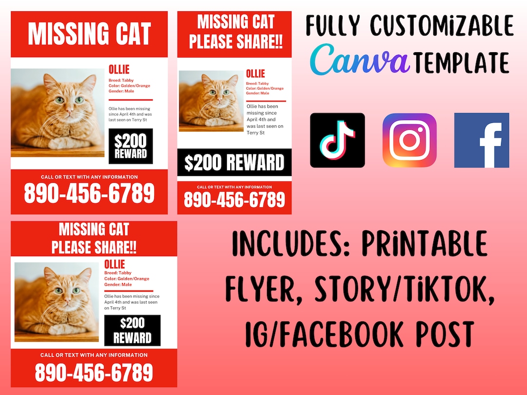 Missing Cat Flyer Template, Printable Poster, Social Media Kit (canva ...