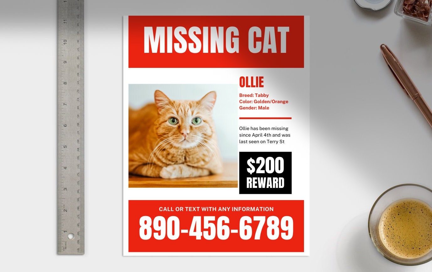 Missing Cat Poster Missing Cat Flyer Lost Cat Flyer Fully