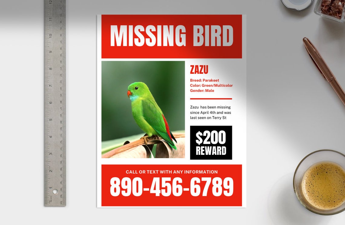 Missing Bird Poster, Missing Bird Flyer, Lost Bird Flyer, Fully ...
