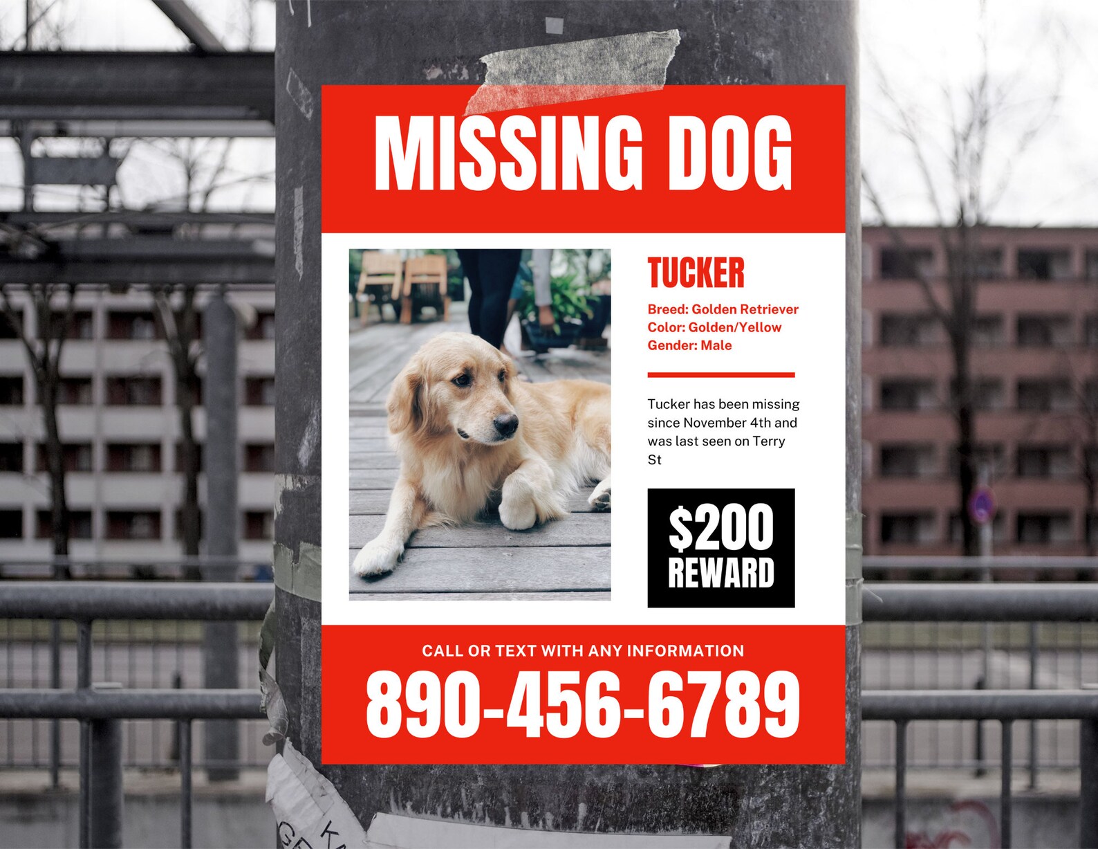 Missing Dog Flyer Kit, Lost Dog Poster Set, Social Media Package ...