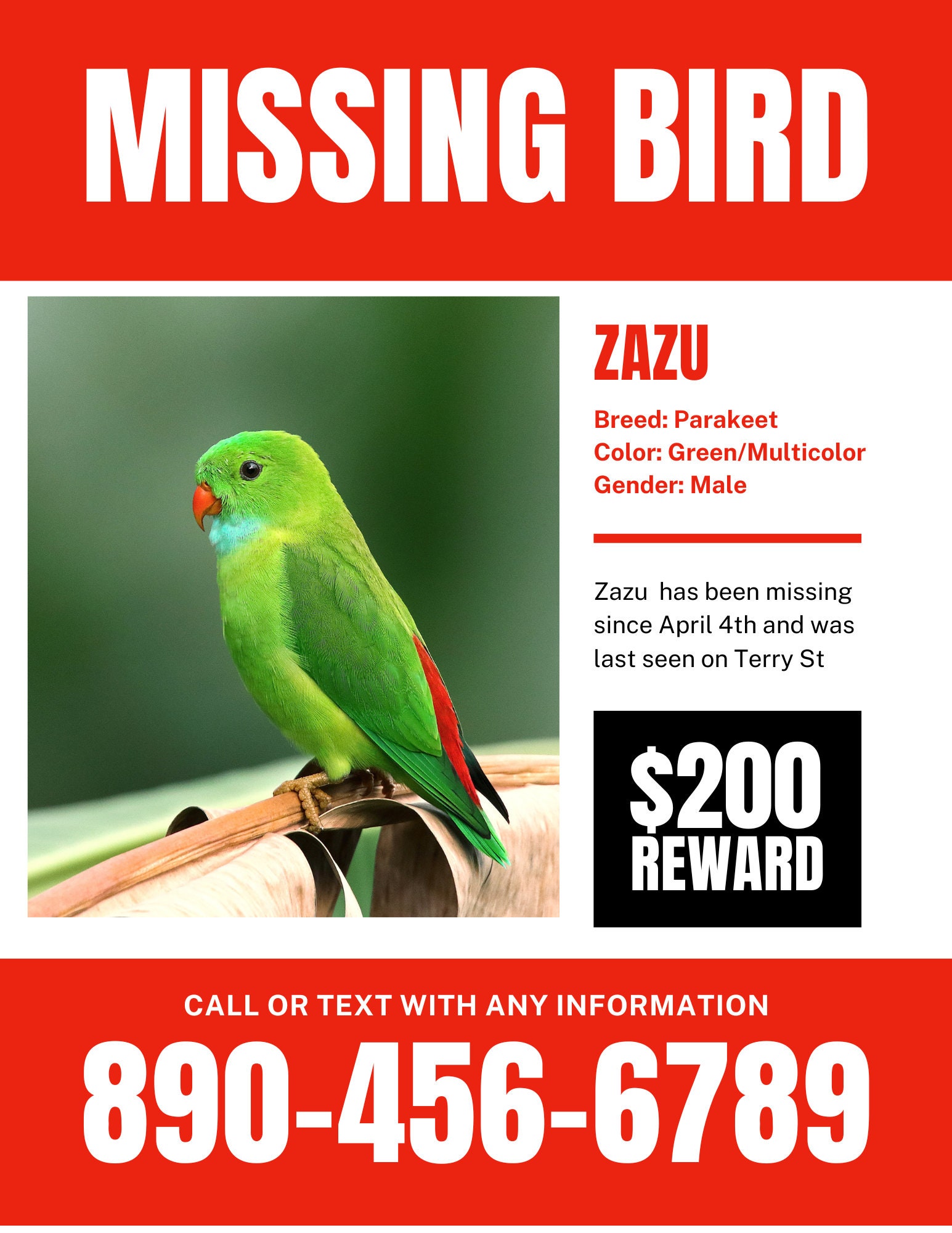 Missing Bird Flyer Kit, Lost Bird Poster Set, Social Media Package ...
