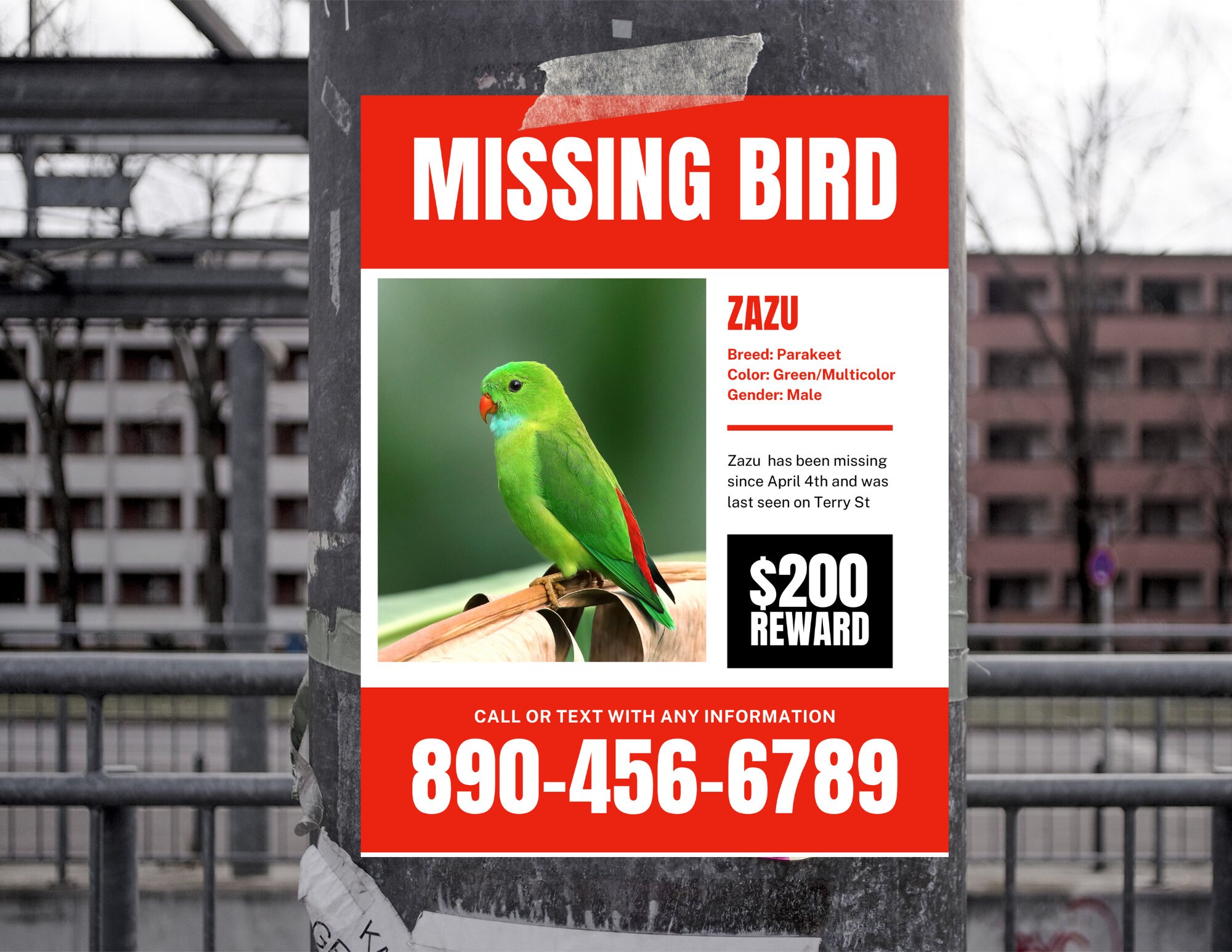 Missing Bird Flyer Kit, Canva Template (digital Download) - Etsy