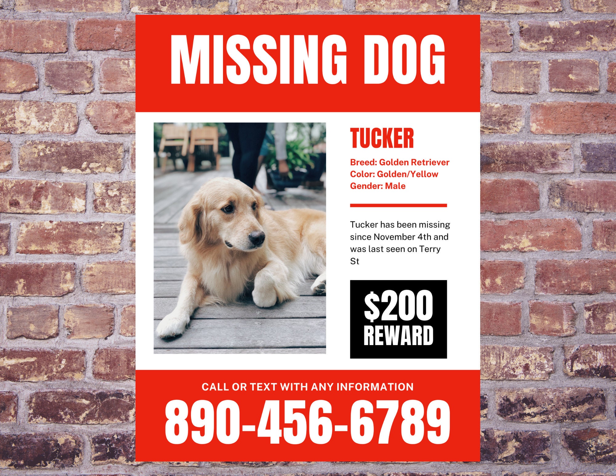 Missing Dog Flyer Kit, Lost Dog Poster Set, Social Media Package ...