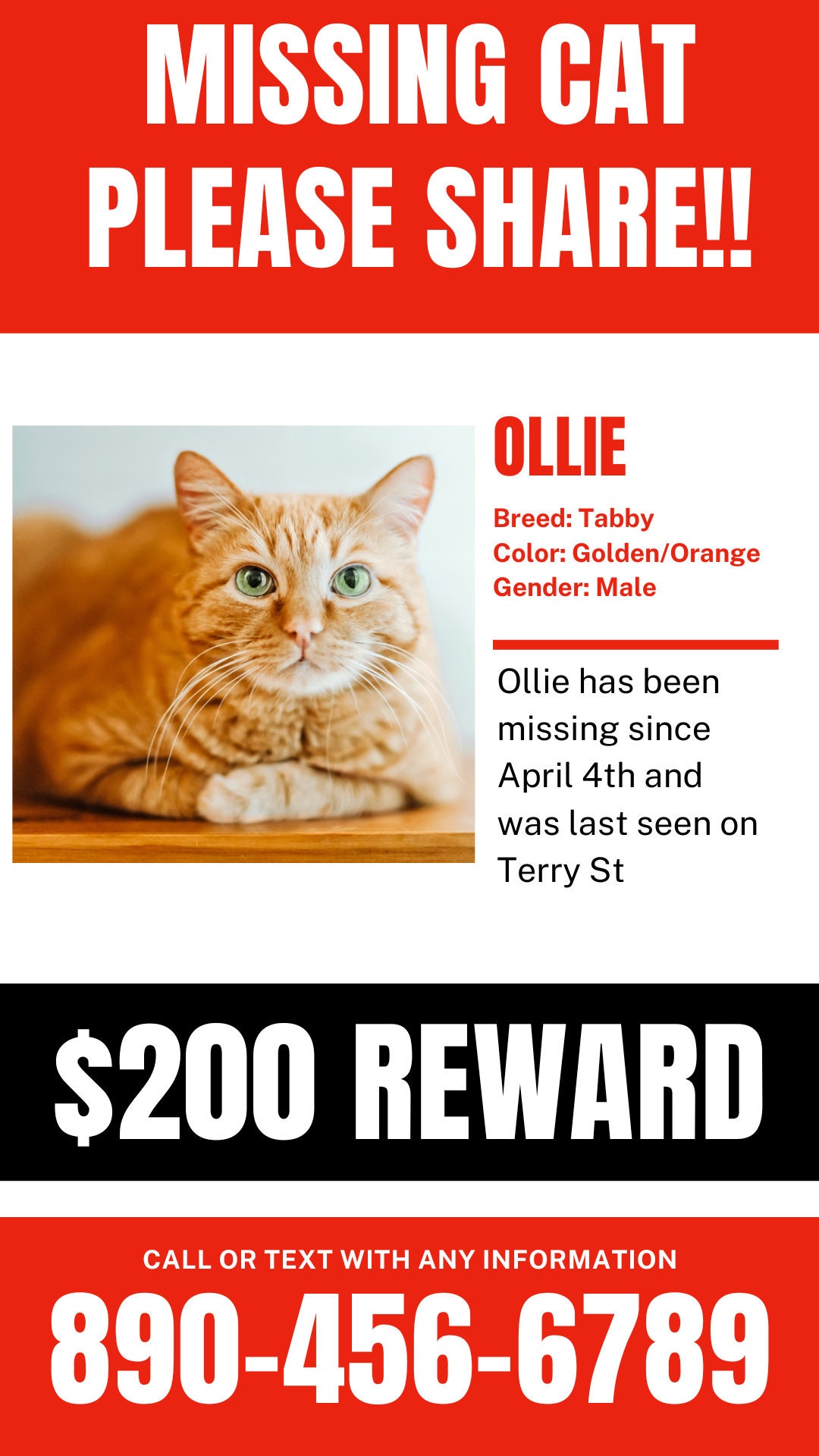 Missing Cat Flyer Kit, Lost Cat Poster Set, Social Media Package ...