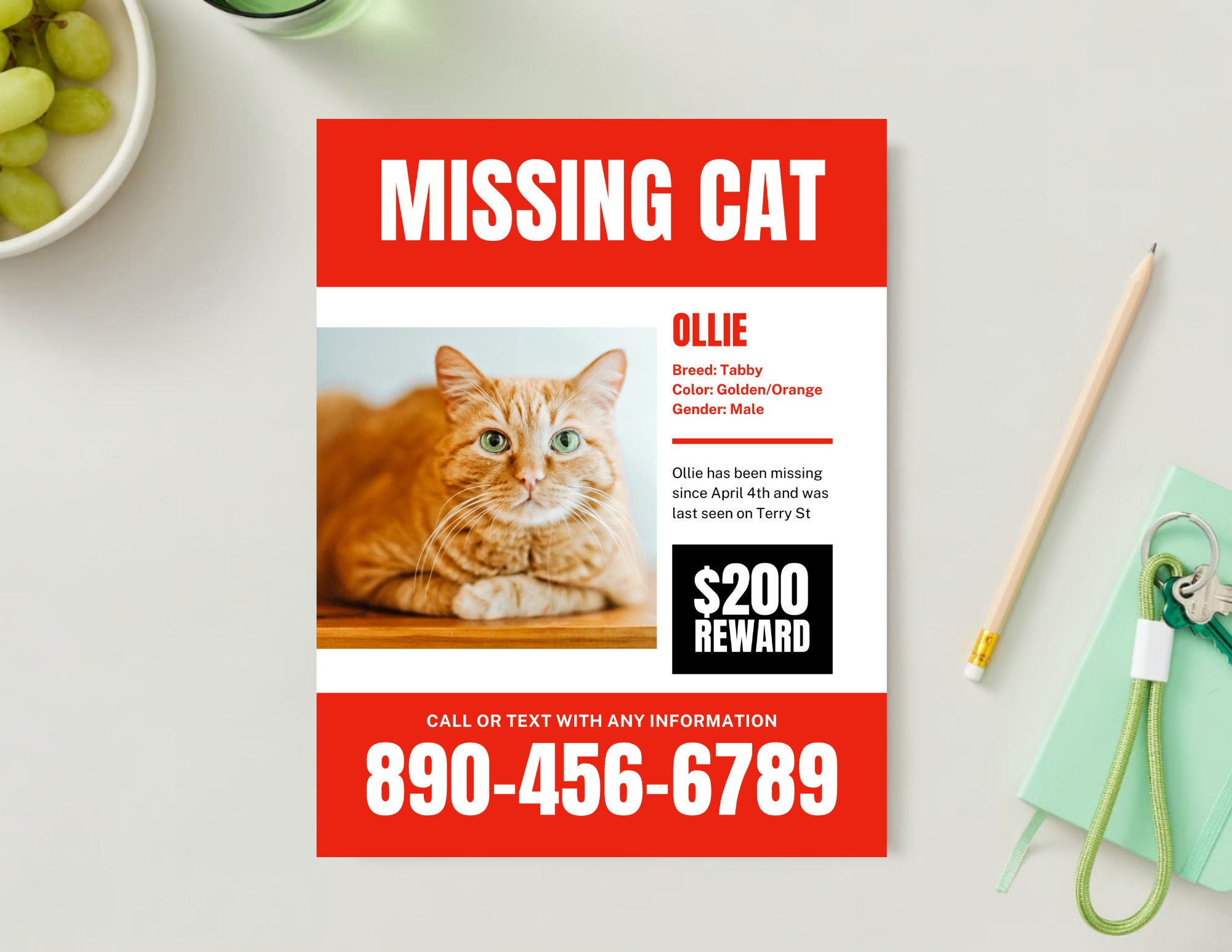 Missing Cat Flyer Kit, Lost Cat Poster Set, Social Media Package ...