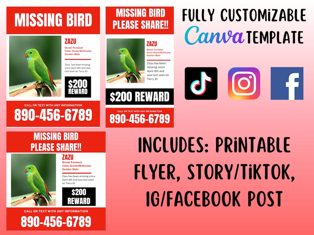 Missing Bird Flyer Kit, Lost Bird Poster Set, Social Media Package ...
