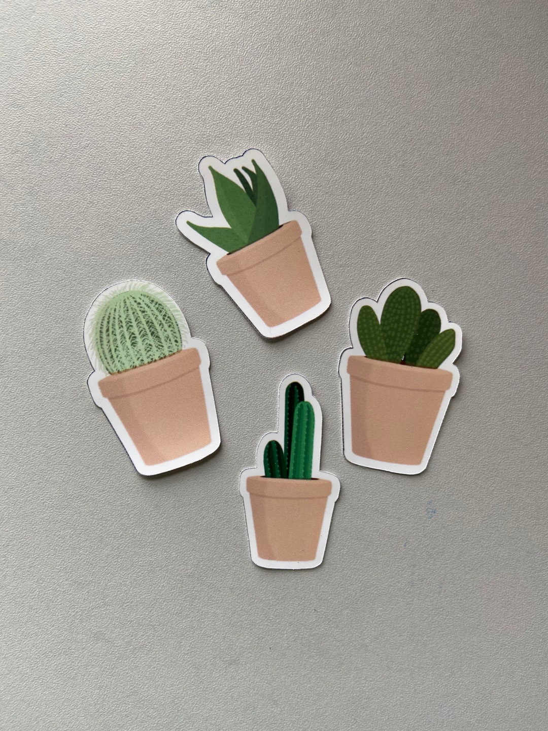 4 Pc Cactus Sticker Set! (glossy or Weatherproof) - Etsy