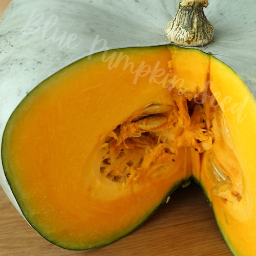 Rare Squash Seeds Heirloom - Etsy
