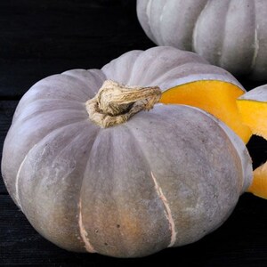 Strawberry Crown (heirloom/c.maxima/organic) Seeds: Strawberry Squash ...