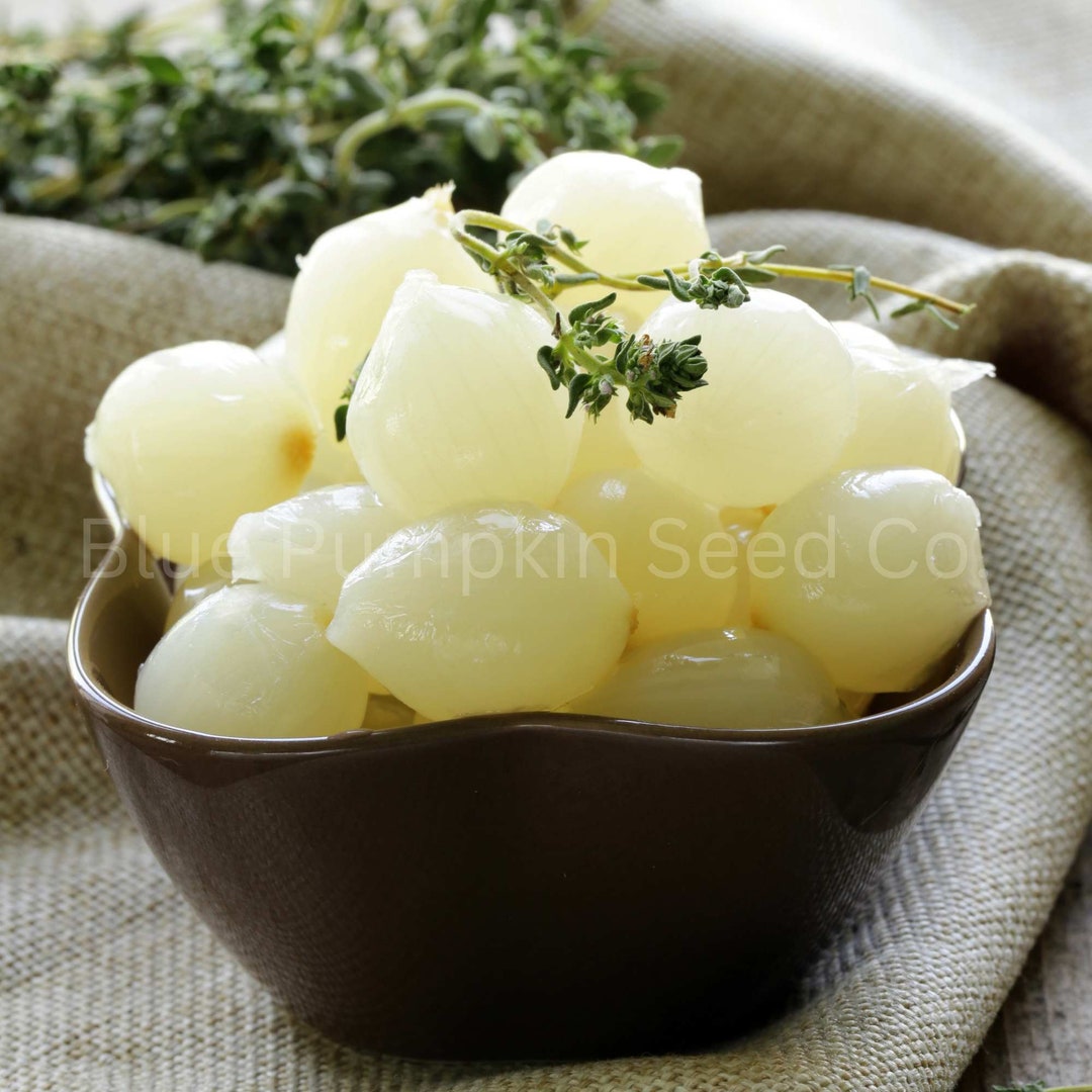 Crystal White Wax Onion Seeds: Grow Pearl Onions for Soups - Etsy
