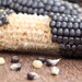 Hopi Blue Indian Corn: Heirloom, Native American Corn, Field Corn, Hopi ...