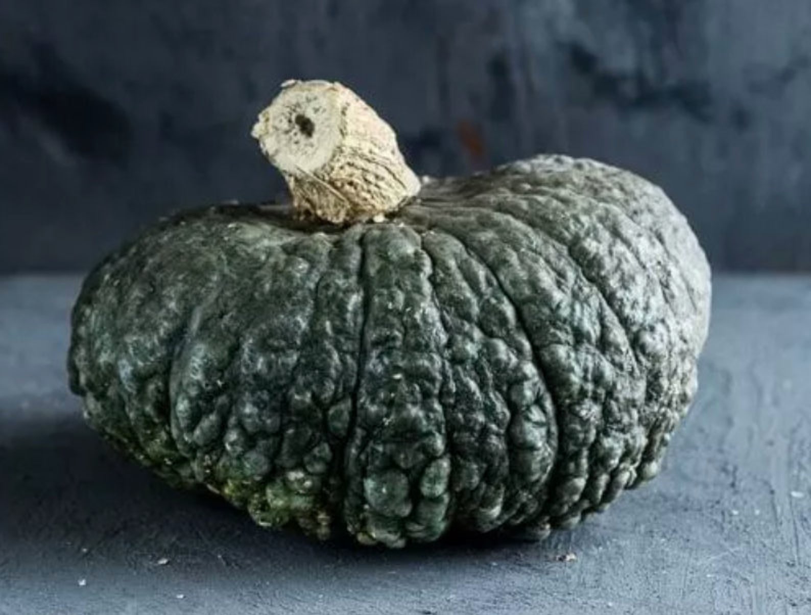 Marina Di Chioggia Pumpkin heirloom/c.maxima Seeds: Sea - Etsy