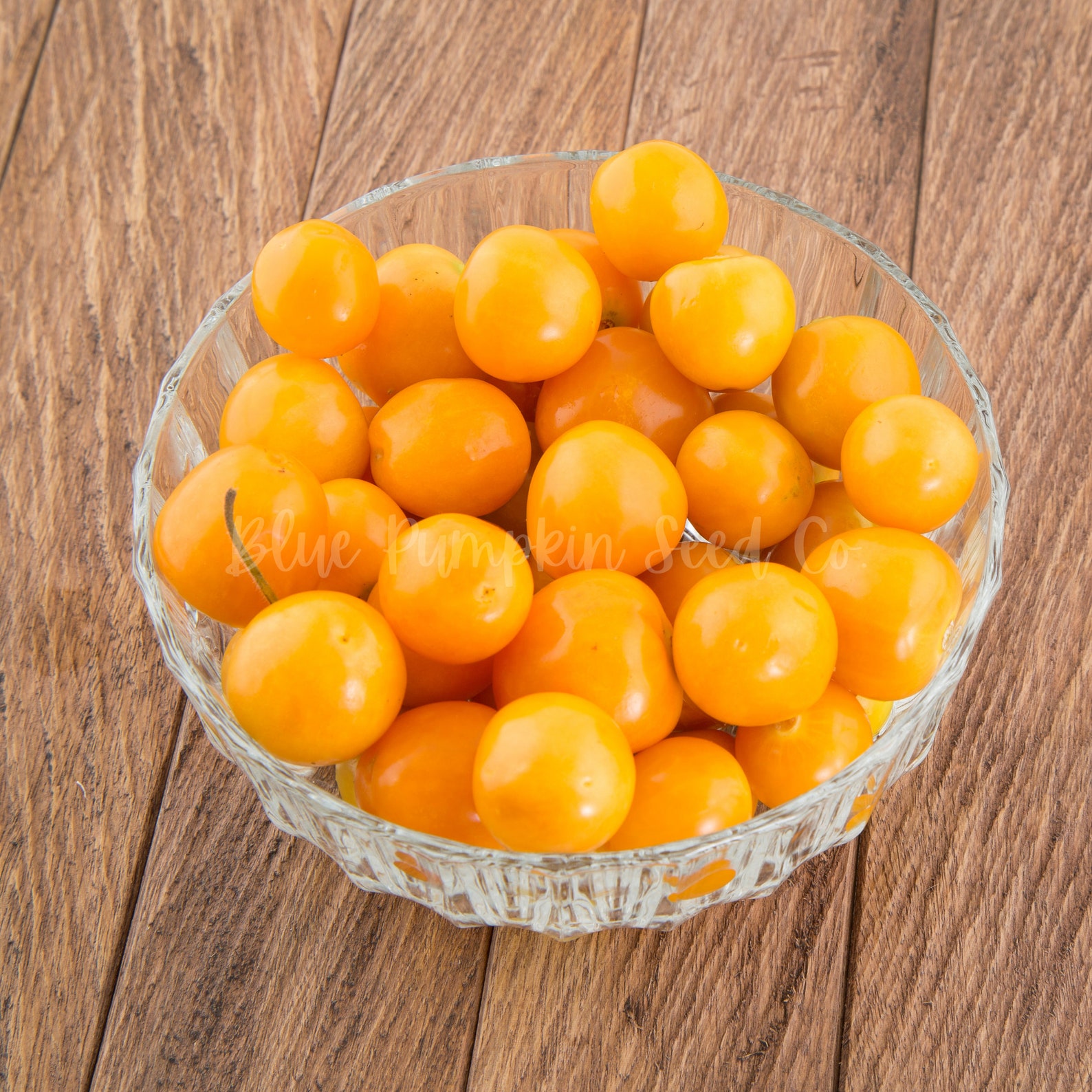 Pineapple Ground Cherry (heirloom) : Ground Cherry, Inca Berry, Golden ...