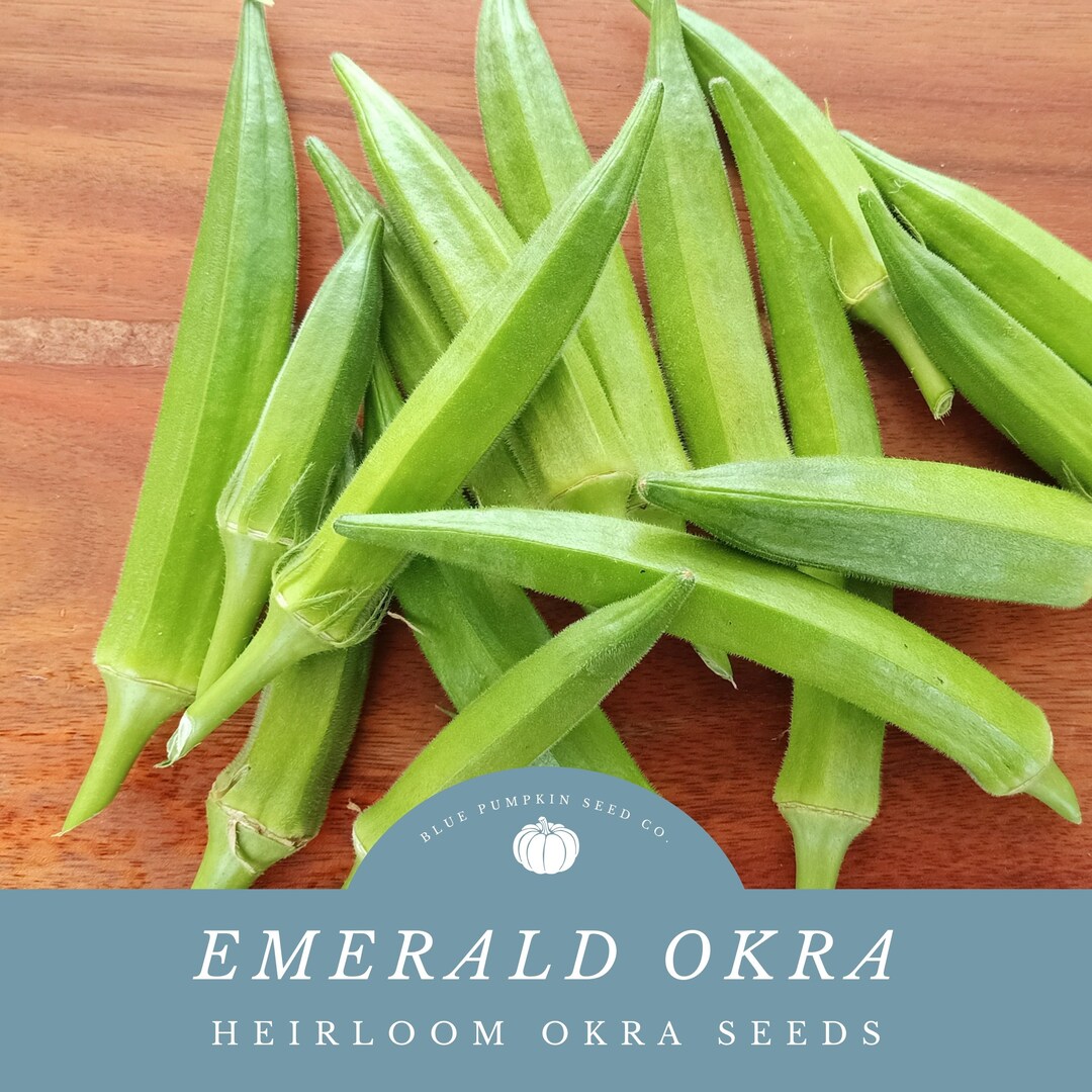 Heirloom Emerald Okra Seeds: Tender, Spineless Pods - Classic Heirloom ...