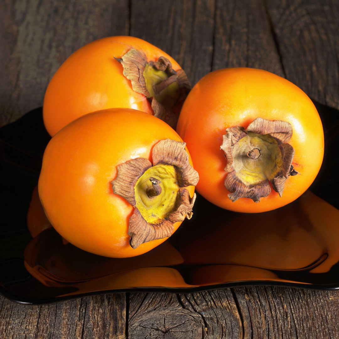 Common Persimmon Tree Seeds: Grow Your Own Juicy Sweet Golden ...