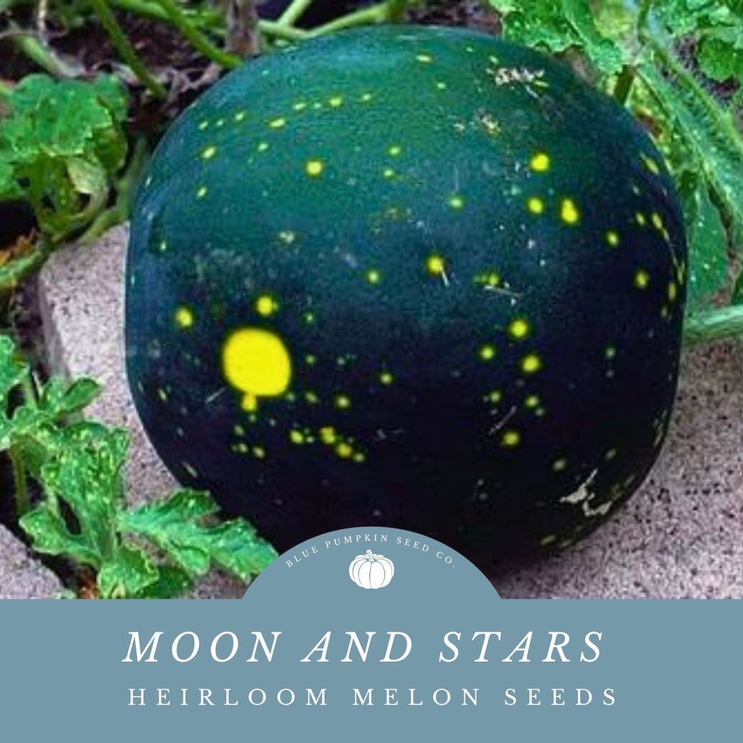 Moon and Stars Watermelon Seeds: Grow Your Own Watermelon With A Moon ...