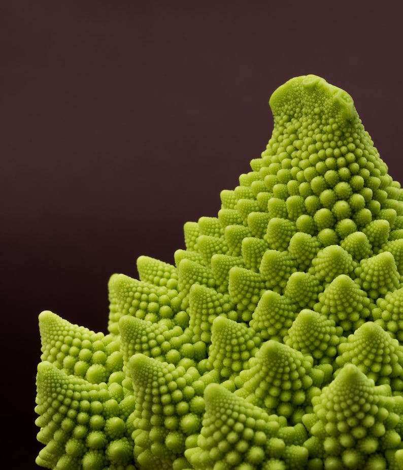 Organic Romanesco Broccoli (heirloom): Roman Broccoli, Roman ...
