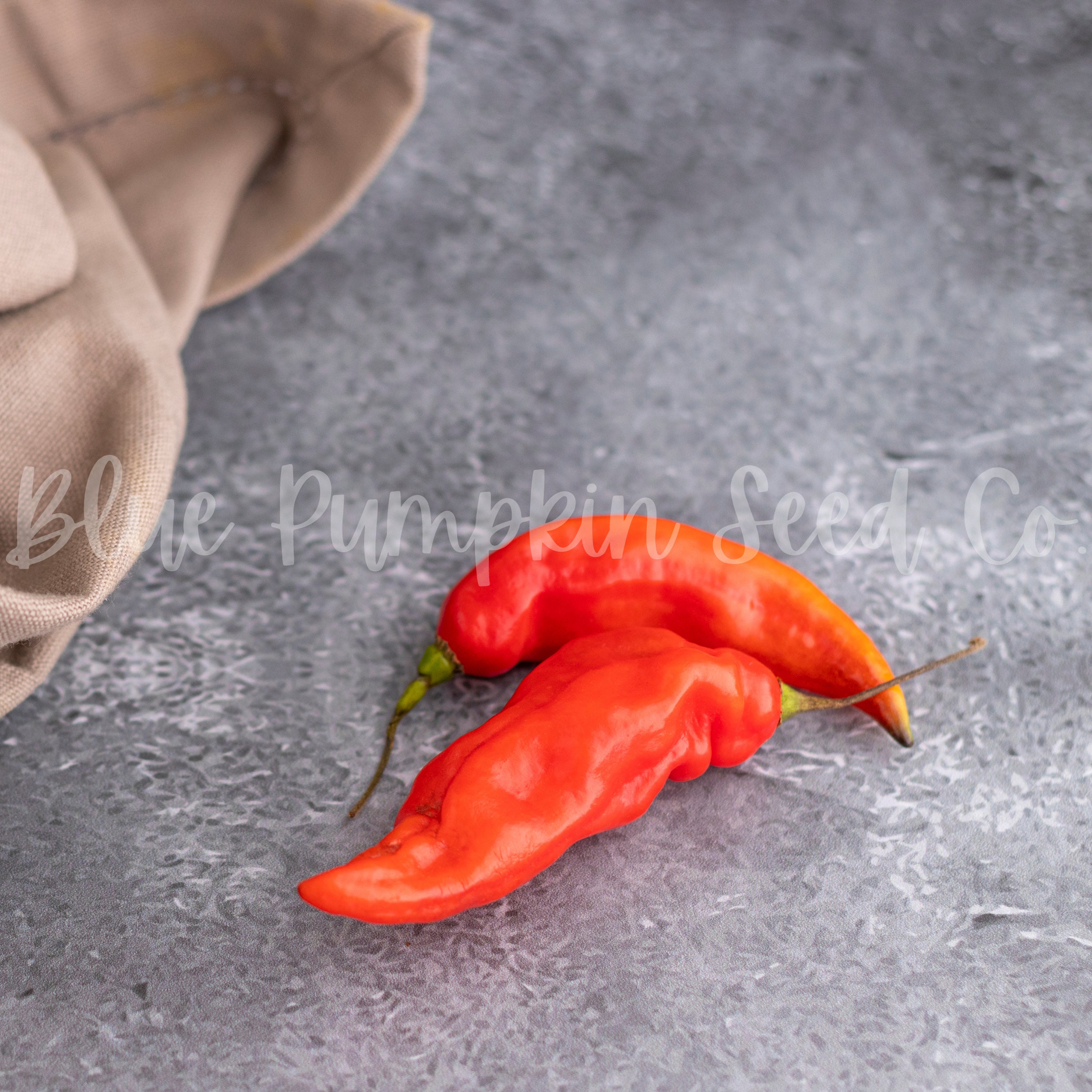 Peruvian Aji Amarillo Grande Chili Seeds organic: Aji - Etsy