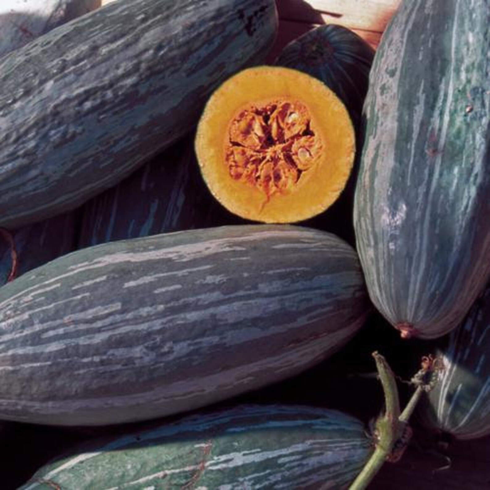 Guatemalan Blue Winter Squash rare/heirloom/c.maxima: Rare | Etsy