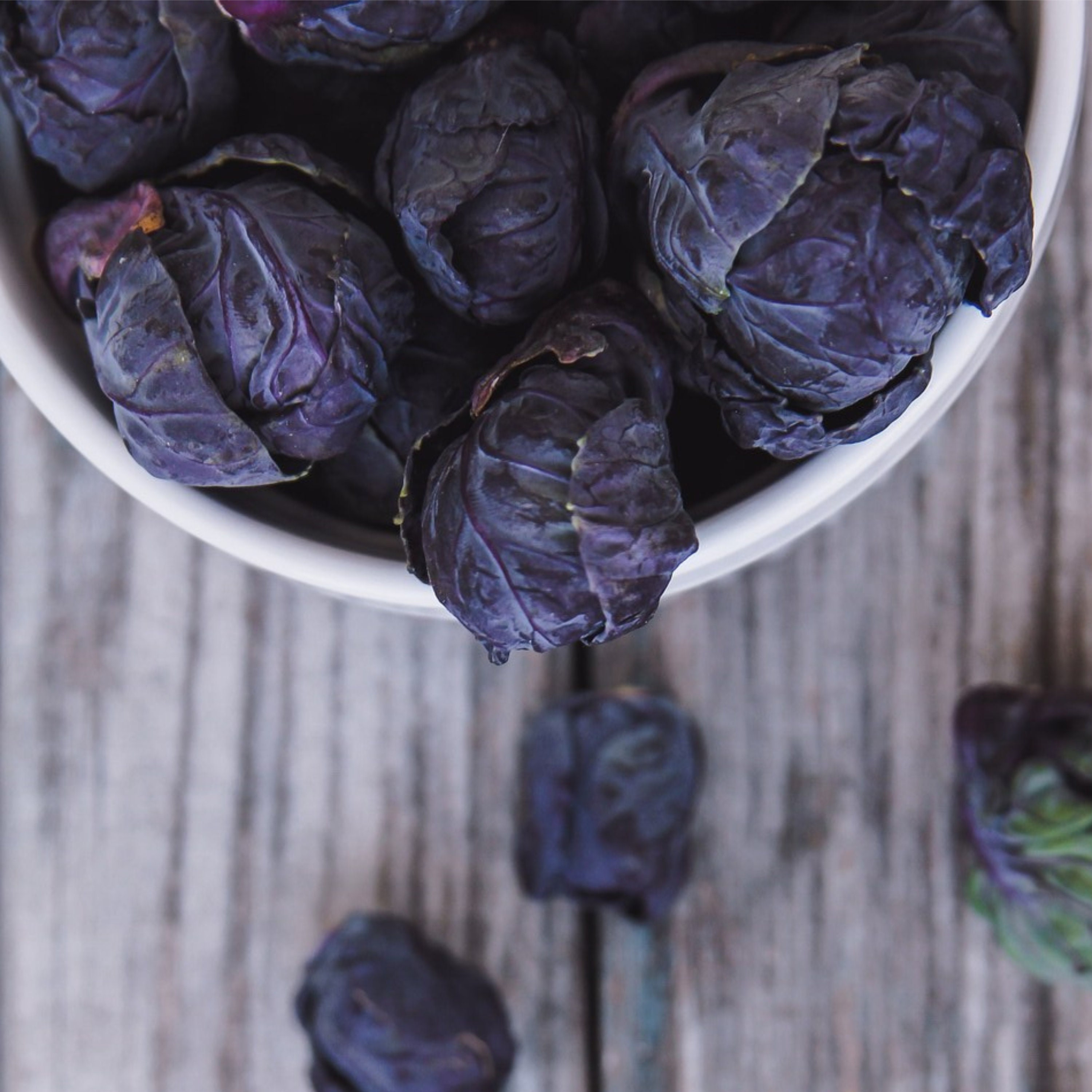 Red Bull Brussels Sprout heirloom Seeds: Purple Brussels | Etsy