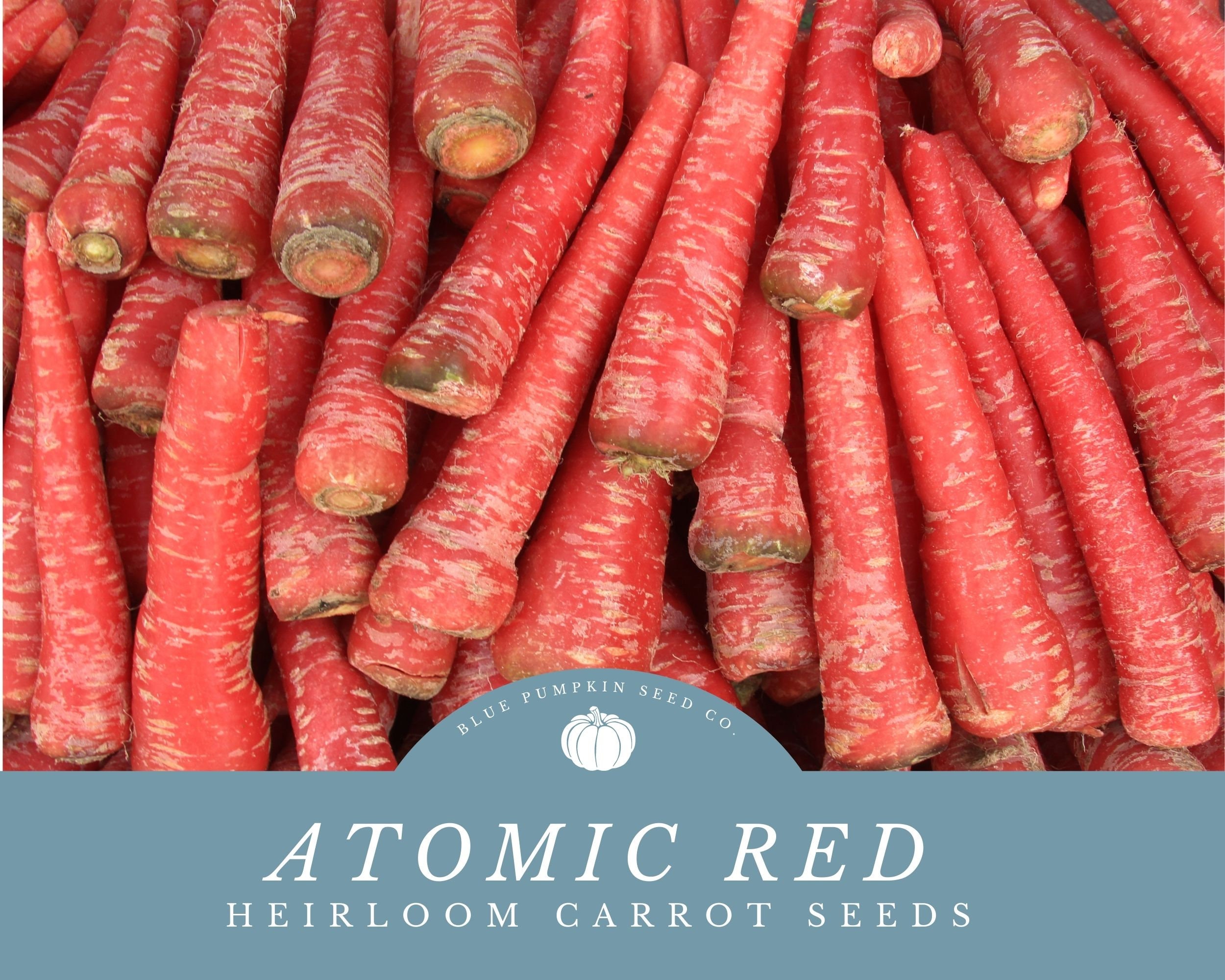 Atomic Red Carrots