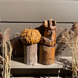 Grizzly Bear (F1 Hybrid/c.spp.) Seeds: Tan Pumpkin, Buff Pumpkin, Bumpy ...