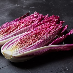 Merlot Chinese Cabbage (F1) Seeds: Purple Chinese Cabbage, Red Chinese ...
