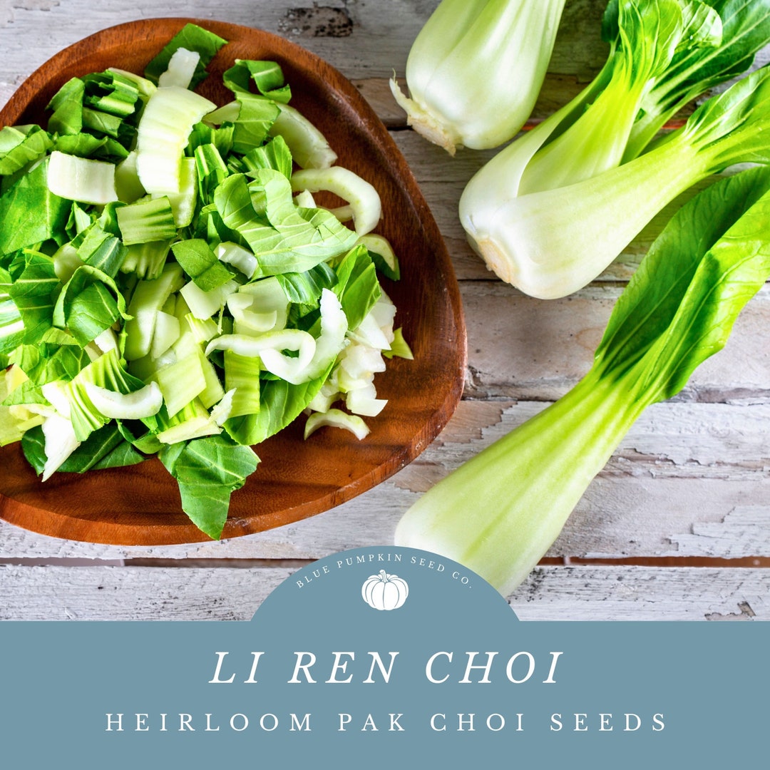 Li Ren Choi (F1) Baby Bok Choy Seeds: Dwarf Bok Choy, Dwarf Pak Choi ...