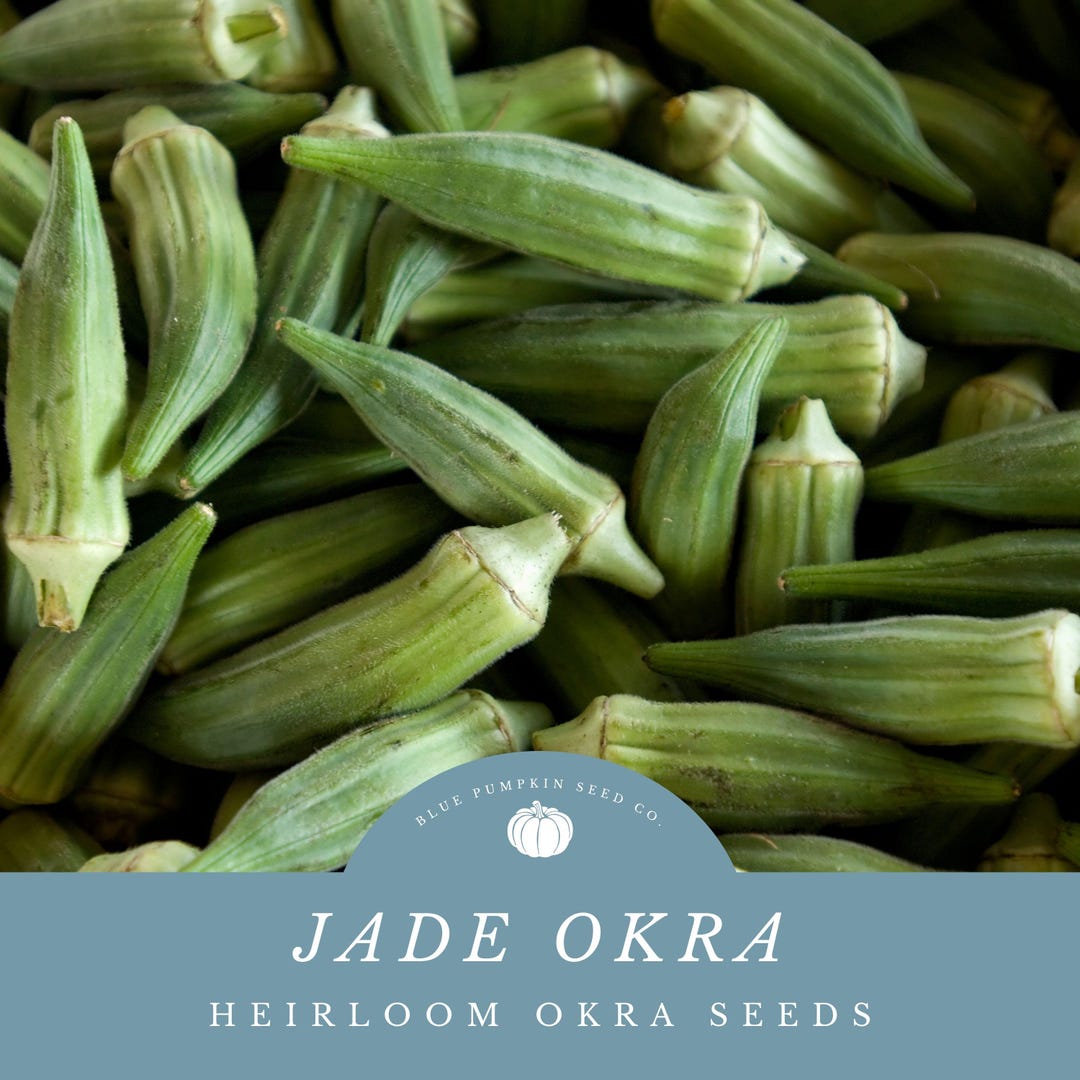 Jade Okra Seeds: A Favorite Among Gardeners - High Yields! - Etsy