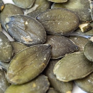 Kakai Squash Seeds (heirloom/organic/c.spp./semi-bush): Styrian, Oil ...