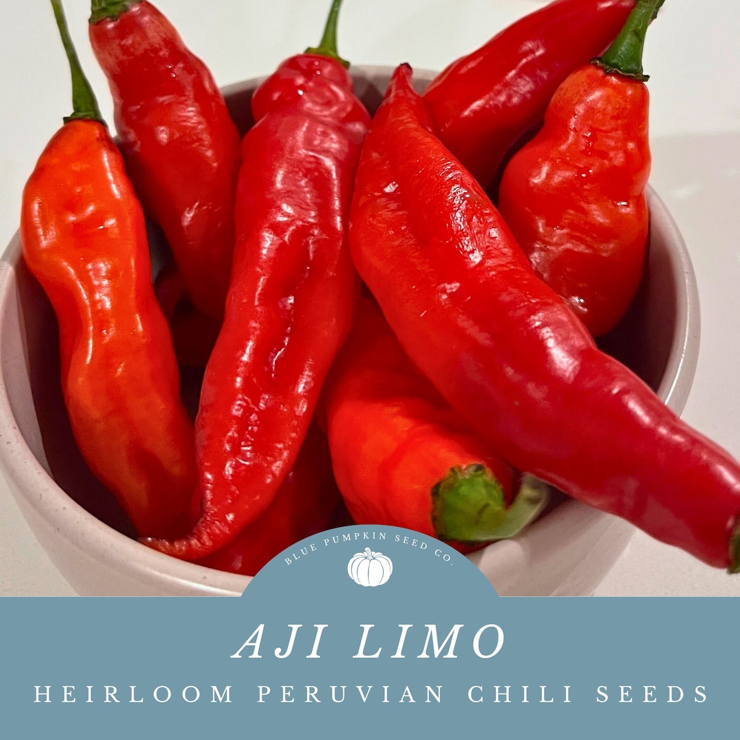 Peruvian Aji Limo Chili Seeds: Experience the Citrusy Zest of Peru's ...