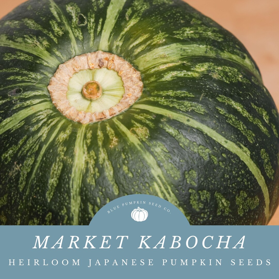 Market Kabocha Seeds: Grow Traditional Japanese Pumpkins - Perfect for ...