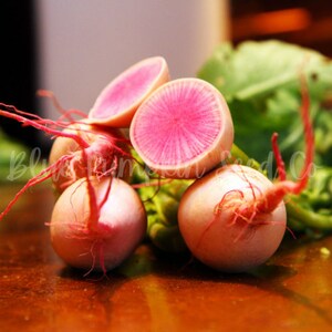 Watermelon Radish: Shinrimei Misato Asian Red Meat Xin Li - Etsy