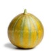 Haogen Melon organic/heirloom/op Seeds: Ha'ogen Melon - Etsy