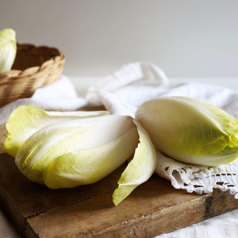 Witloof Chicory Endive Seeds: Grow Your Own Versitile Gormet Endive ...