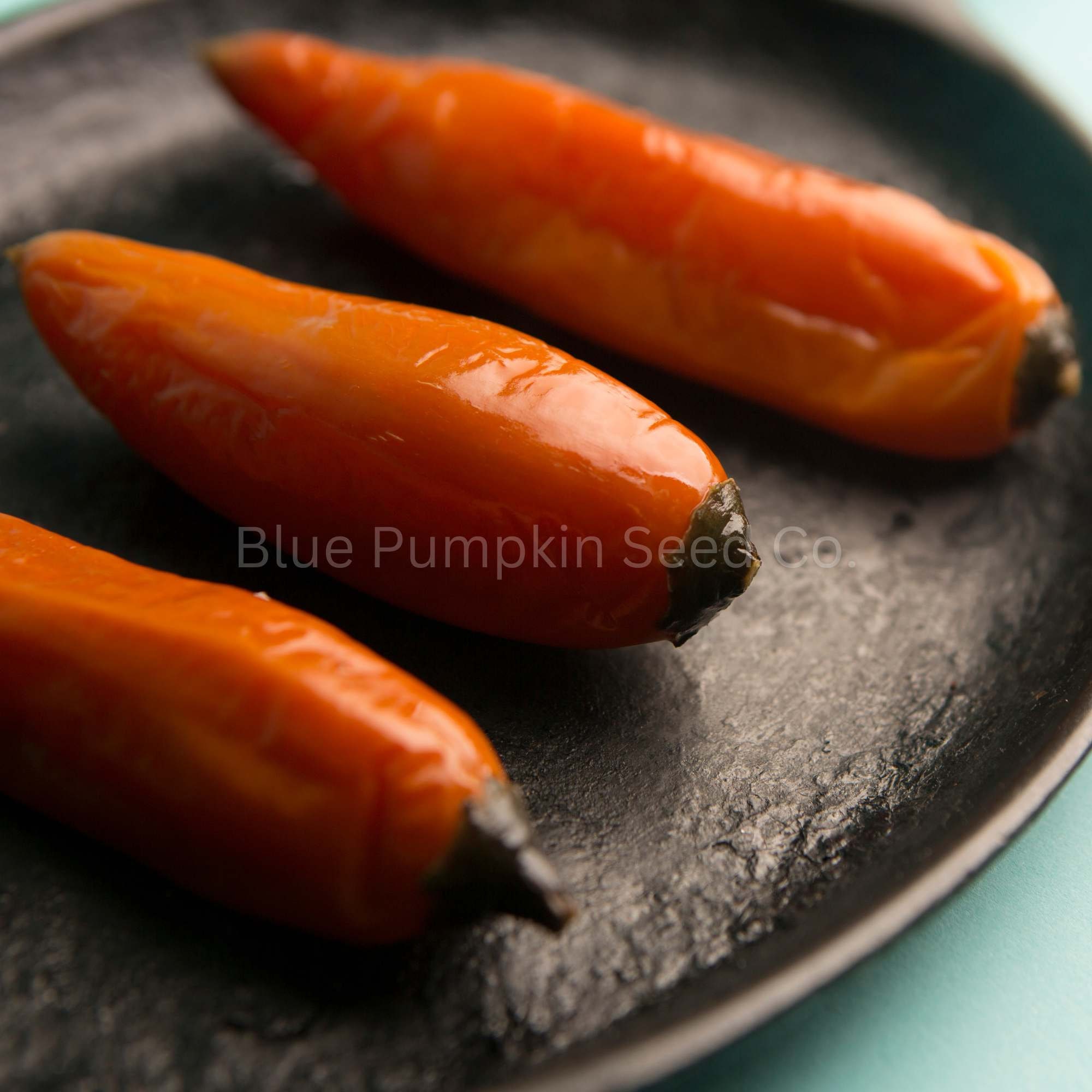 Peruvian Aji Amarillo Chili Seeds (organic): Aji Amarillo, Gold Chili ...