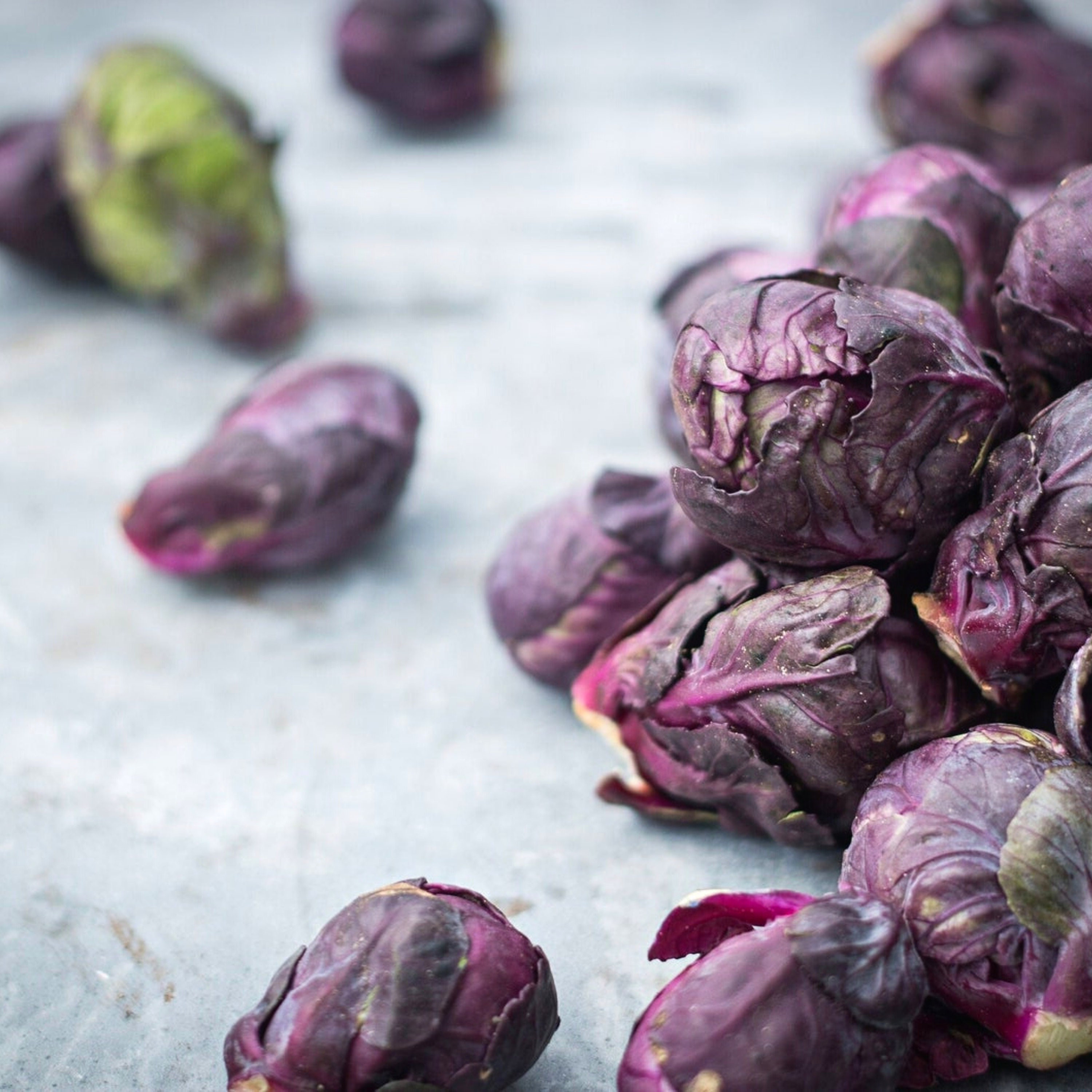 Red Bull Brussels Sprout heirloom Seeds: Purple Brussels | Etsy