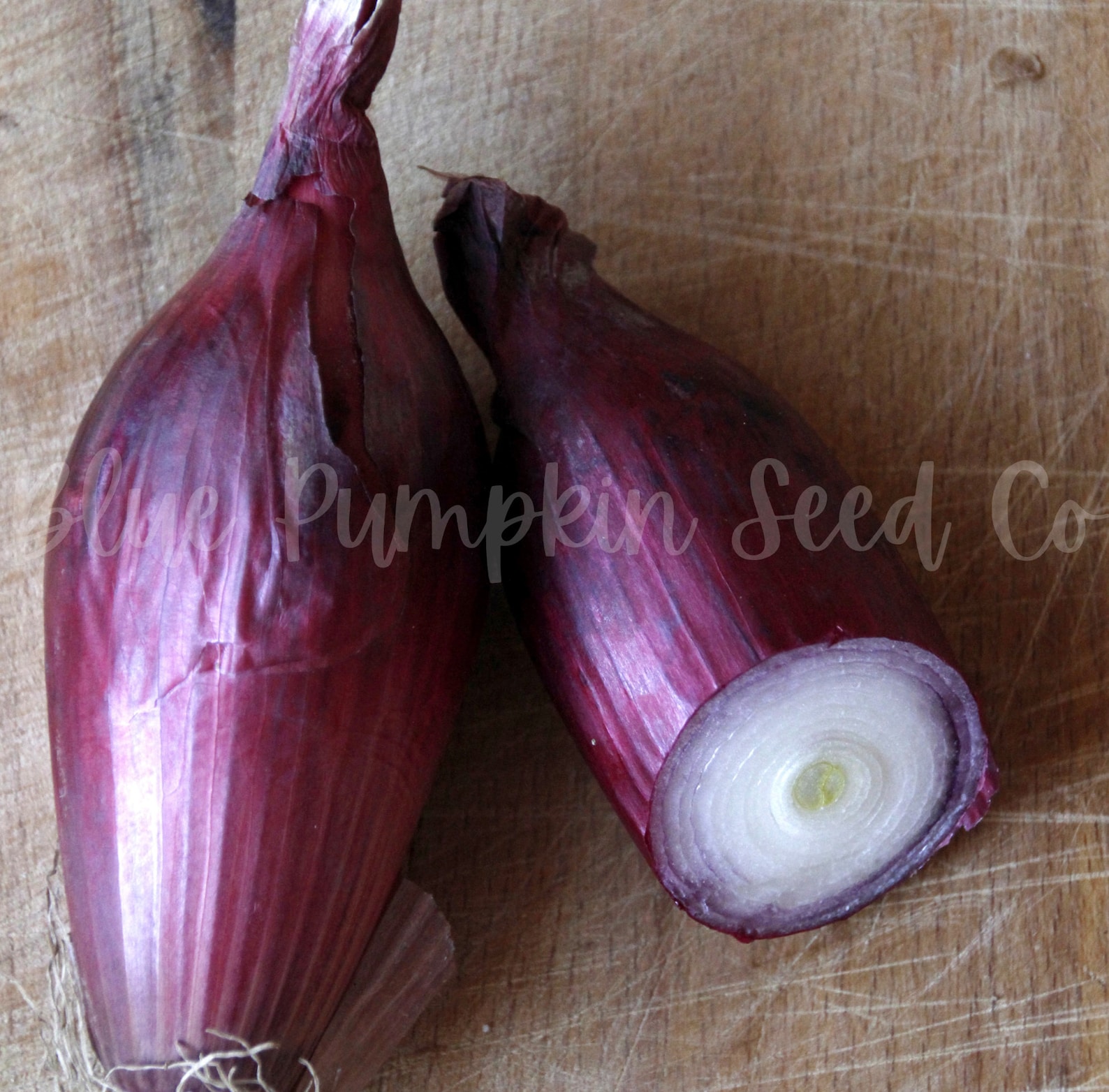 Red Beard Bunching Onion F1: Red Onion Red Scallion Hybrid - Etsy