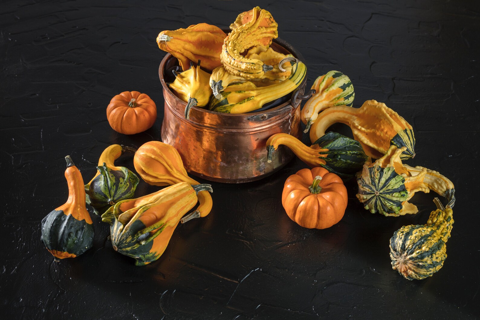 Mini Gourd heirloom Mix/ C.pepo Seed Mix: Fall Seed Mix - Etsy