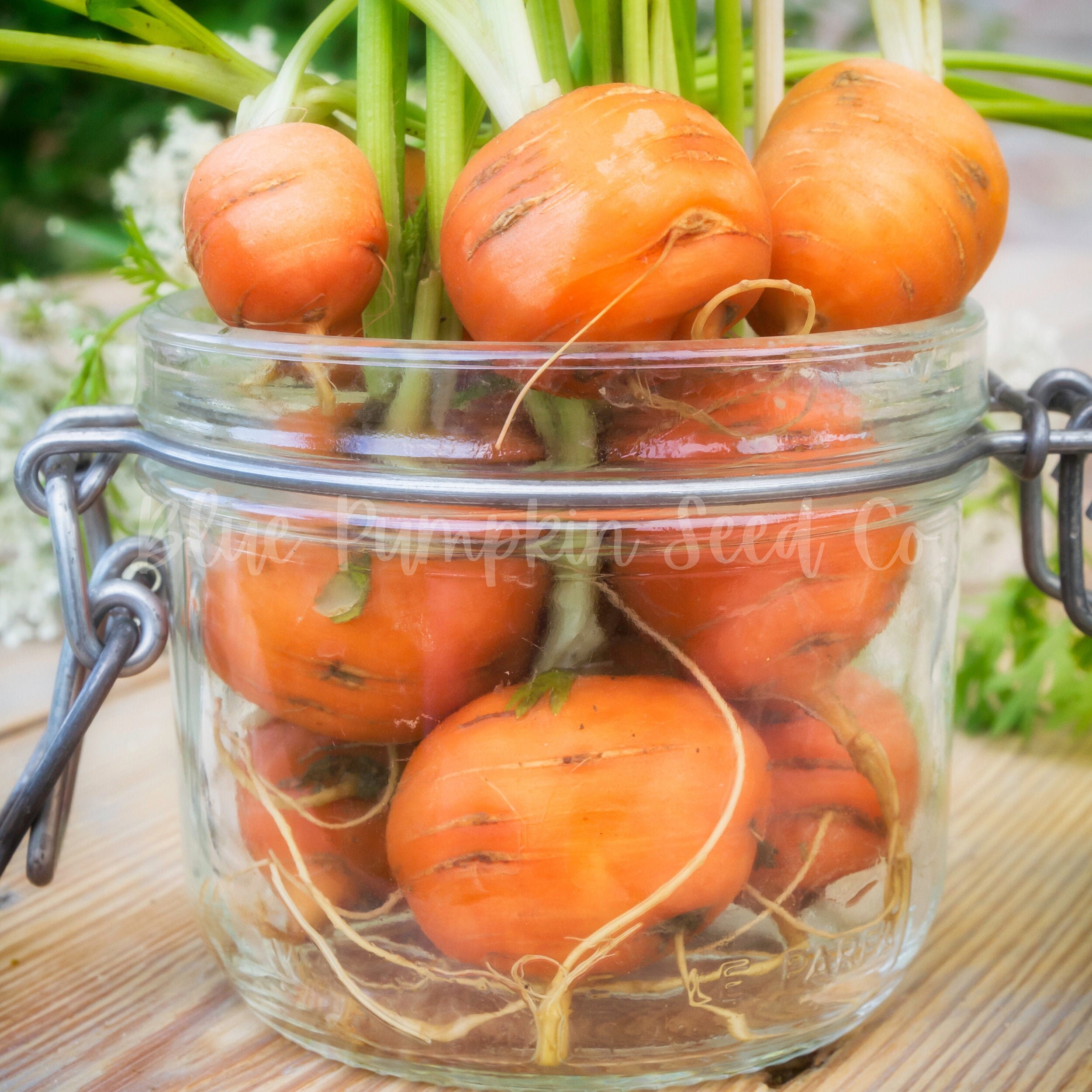 Paris Market Carrot heirloom: Parisian Carrot Ox Heart | Etsy