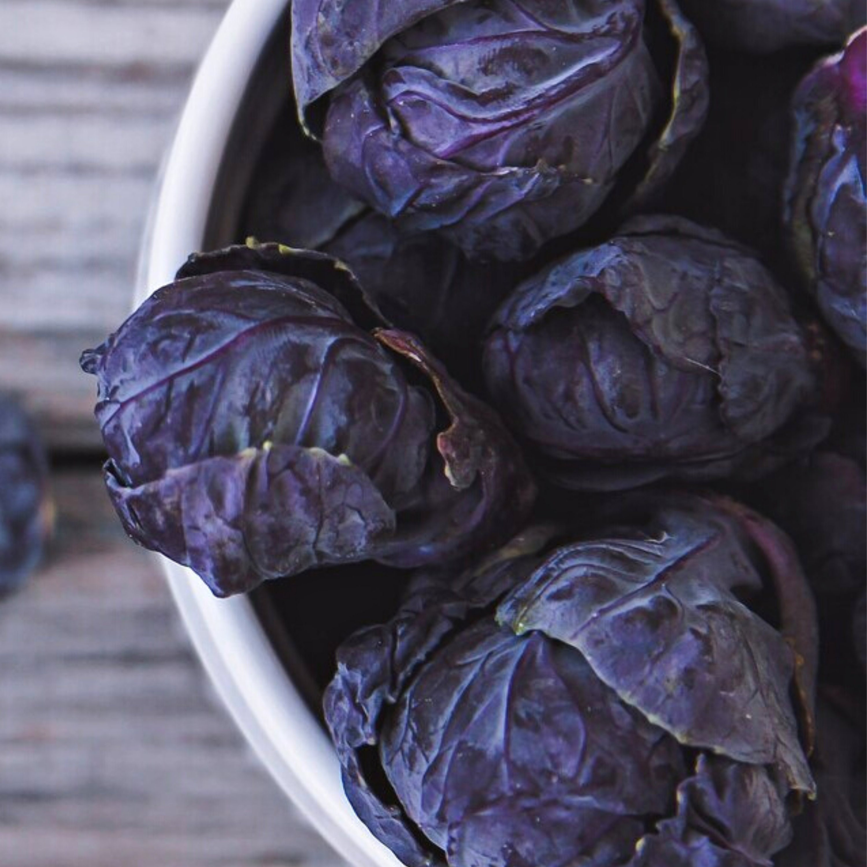 Red Bull Brussels Sprout heirloom Seeds: Purple Brussels | Etsy