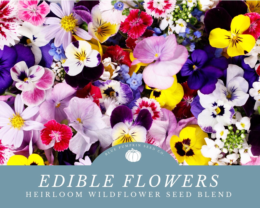 Edible Flowers Seed Blend: Grow A Garden Full of Edible Flowers! Create ...