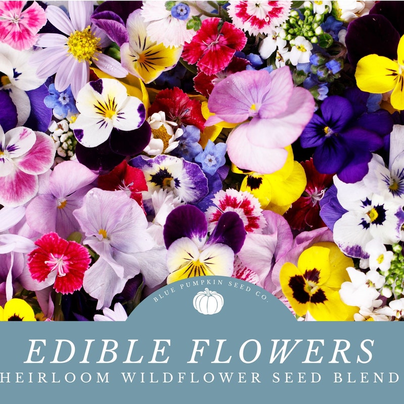 Edible Soap - Etsy