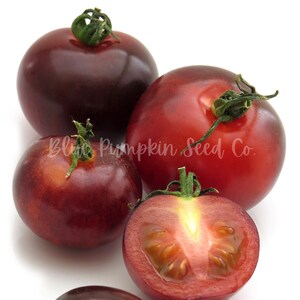Indigo Cherry Drop Tomato (f1 Hybrid, Indeterminate, Certifed Organic ...