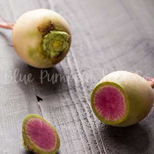 Watermelon Radish: Shinrimei Misato Asian Red Meat Xin Li - Etsy