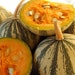 Silver Edge heirloom/c.mixta Seeds: Heirloom Squash, Cushaw Pumpkin ...
