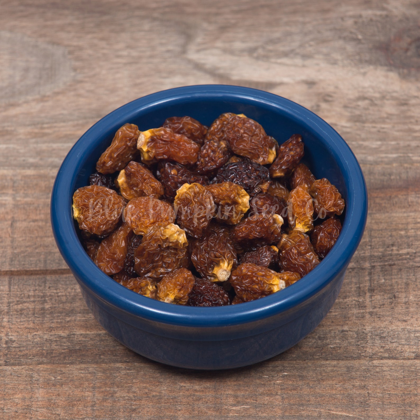 Pineapple Ground Cherry (heirloom) : Ground Cherry, Inca Berry, Golden ...