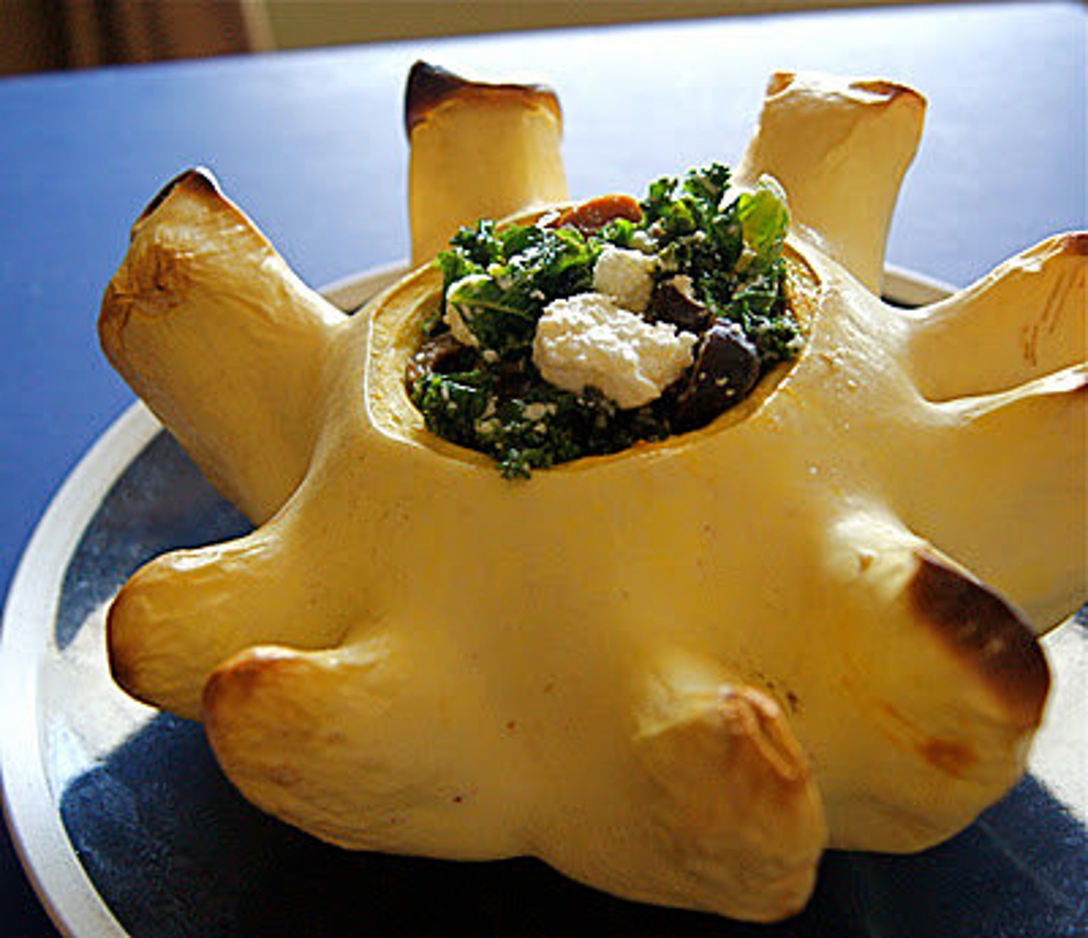 Yugoslavian Fingers (heirloom/c.pepo) Seeds: Semi-rare, White Finger ...