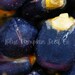 Hopi Blue Indian Corn: Heirloom, Native American Corn, Field Corn, Hopi ...