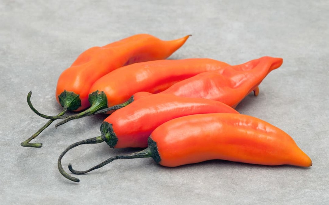 Peruvian Aji Amarillo Chili Seeds organic: Aji Amarillo - Etsy